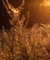 Dr. Michael Rukavina, MD, Cardiovascular Disease | Lexington, KY | WebMD