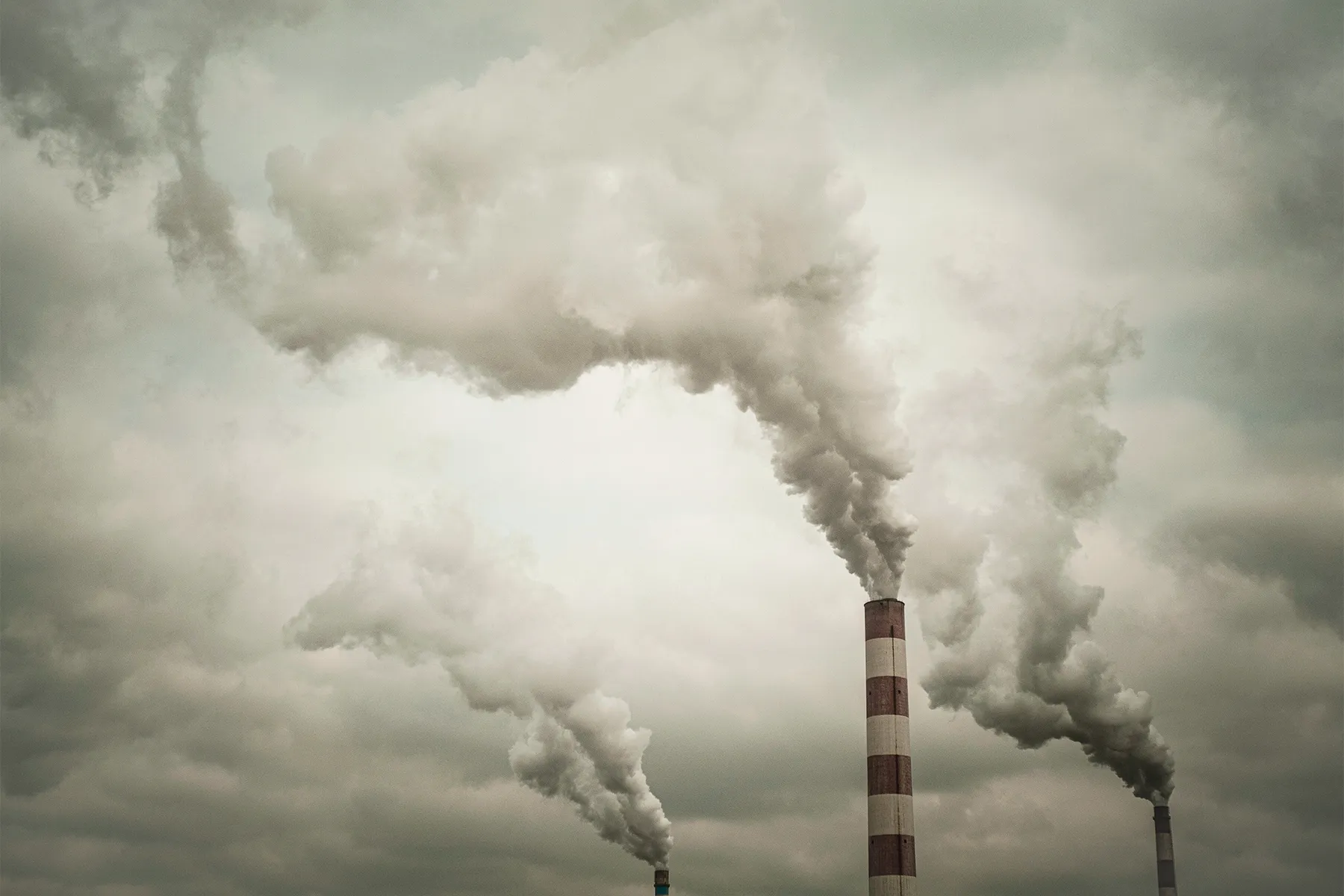 carcinogen 3 examples