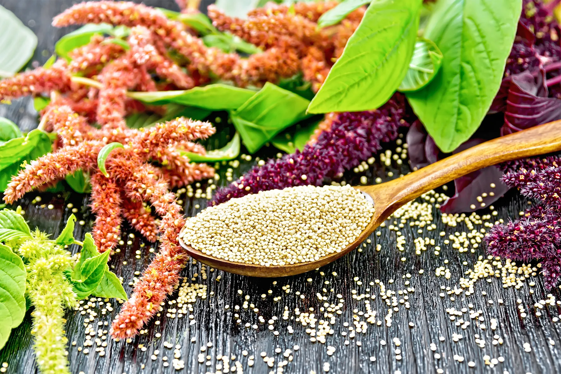 amaranth seeds