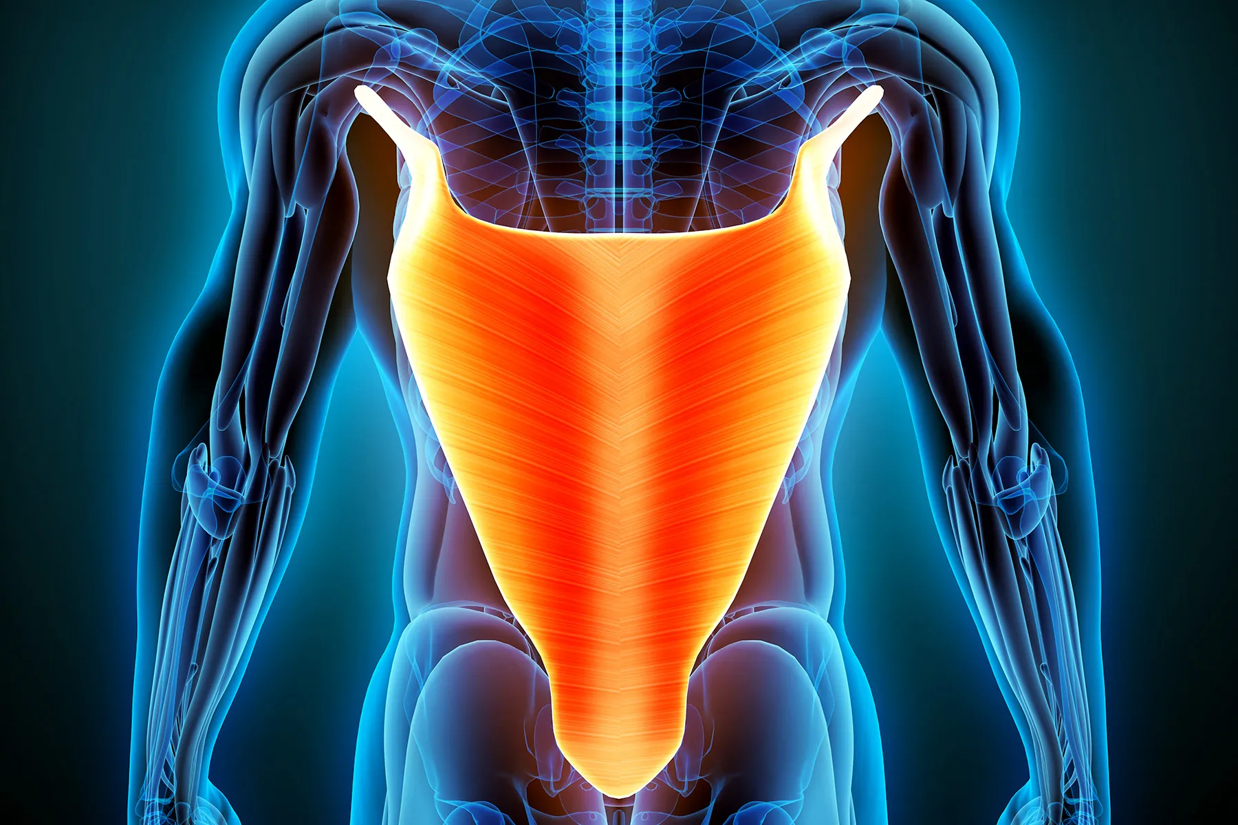 pulled abdominal muscle right side
