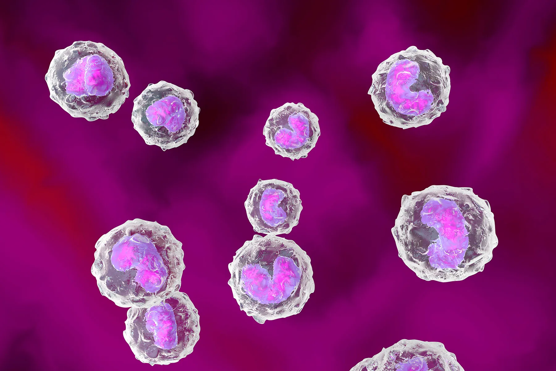 Monocytes: The importance of these infection-fighting white blood cells