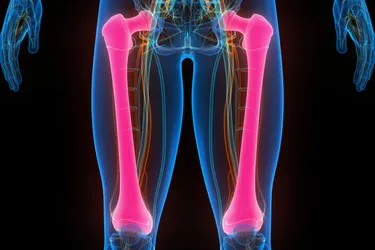 Learn About How the Femur Bone Works and Some Conditions That Affect It