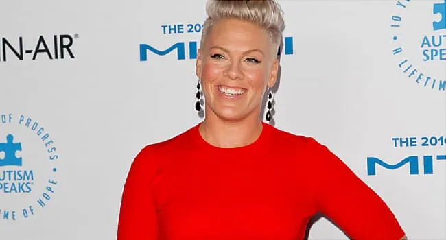 Pink Shares Body-Positive Message About BMI on Instagram