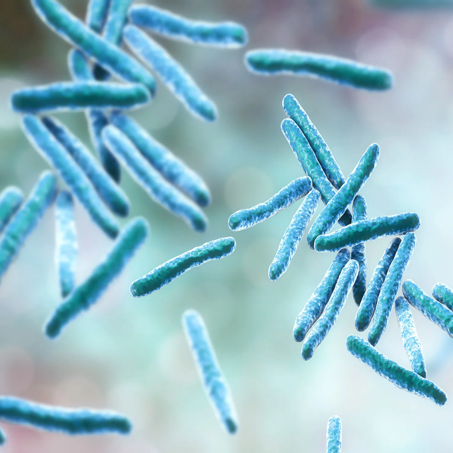 WebMD Lung Disease Guide - Lung Diseases