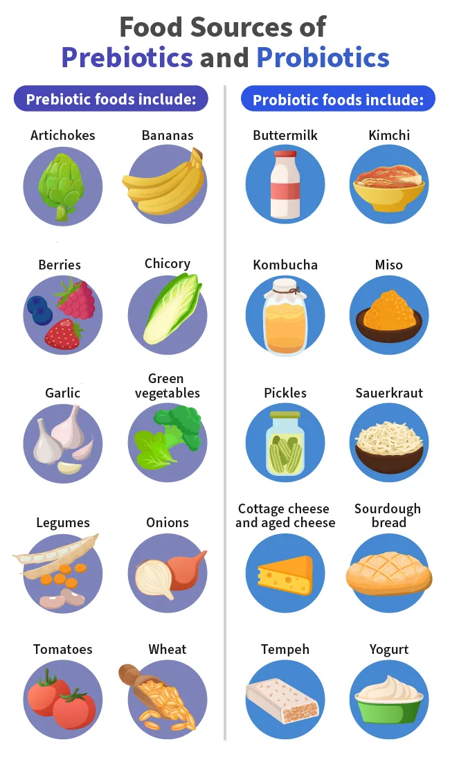 Fatty Liver Disease and the Gut-Liver Axis