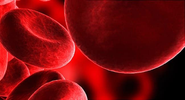 Types of Blood Cancer: Lymphoma, Leukemia, and Multiple Myeloma