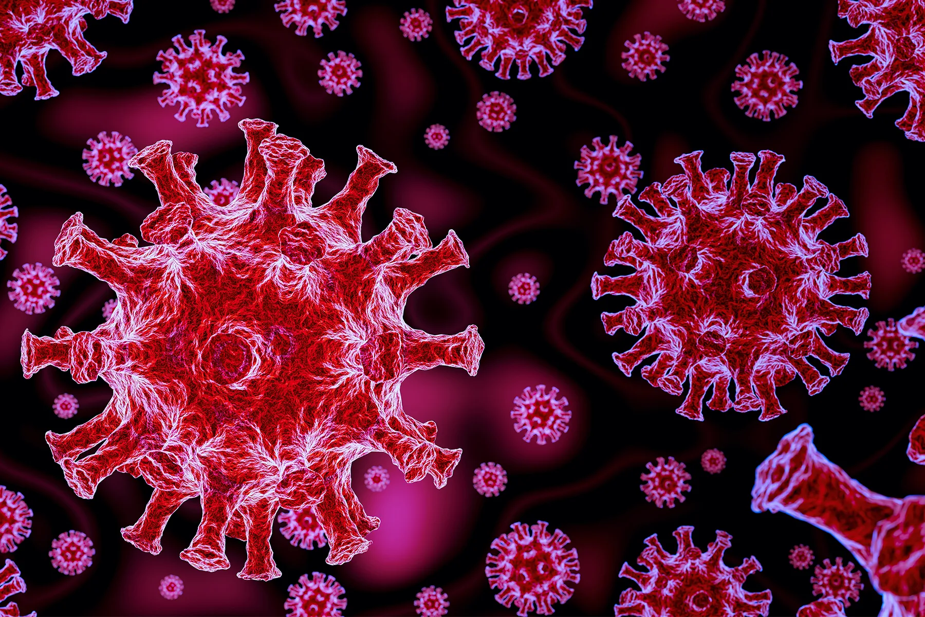 Coronavirus History: How Did Coronavirus Start?