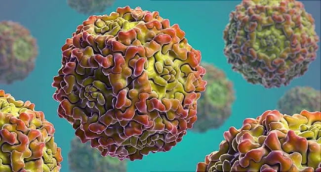 Fifth Disease (Erythema Infectiosum): Symptoms, Causes and Treatment