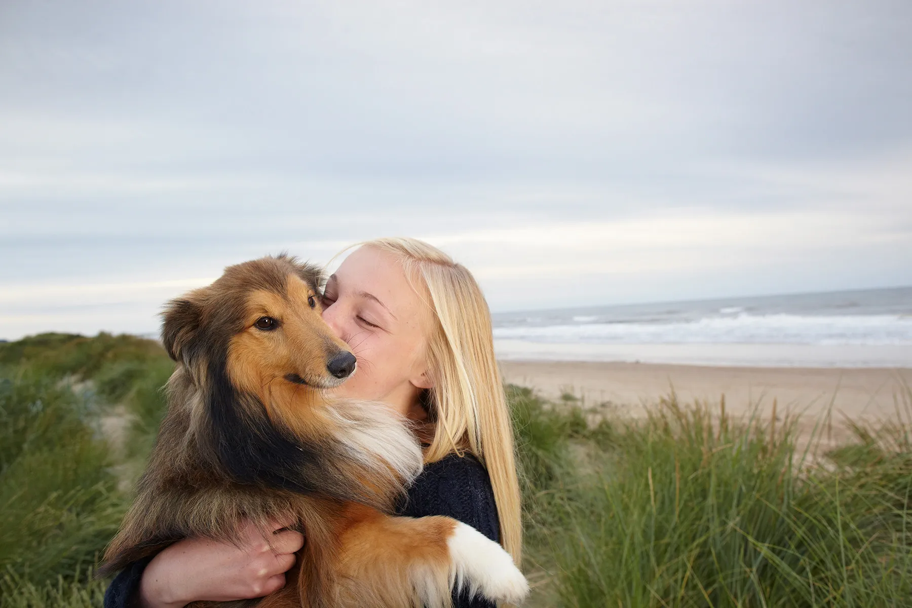 are collies sensitive