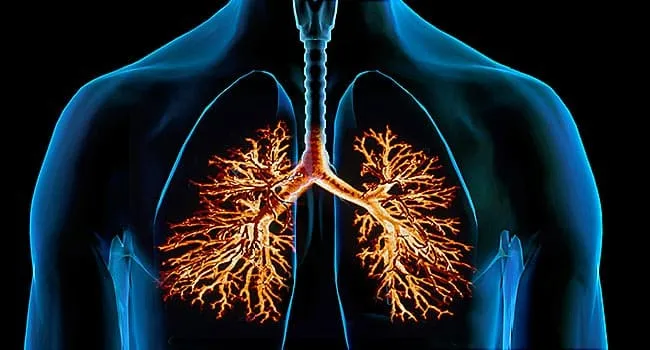 bronchitis time off work