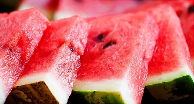 watermelon fruit