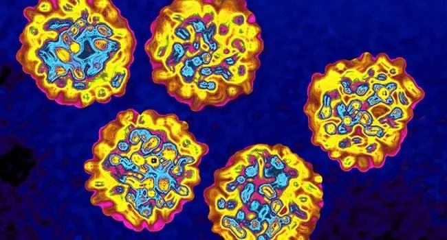 A Visual Guide to Hepatitis A, B, C