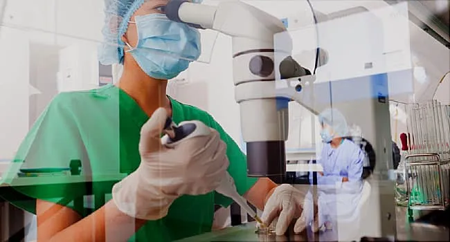 A Visual Guide to Zika Virus