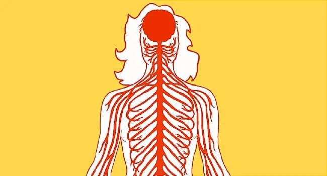 Video on What Causes Nerve Pain and How to Stop It