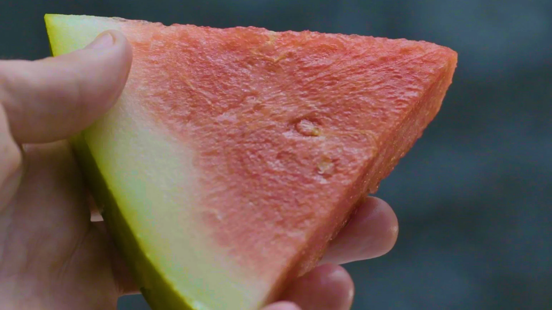 One-Food Wonder: Watermelon