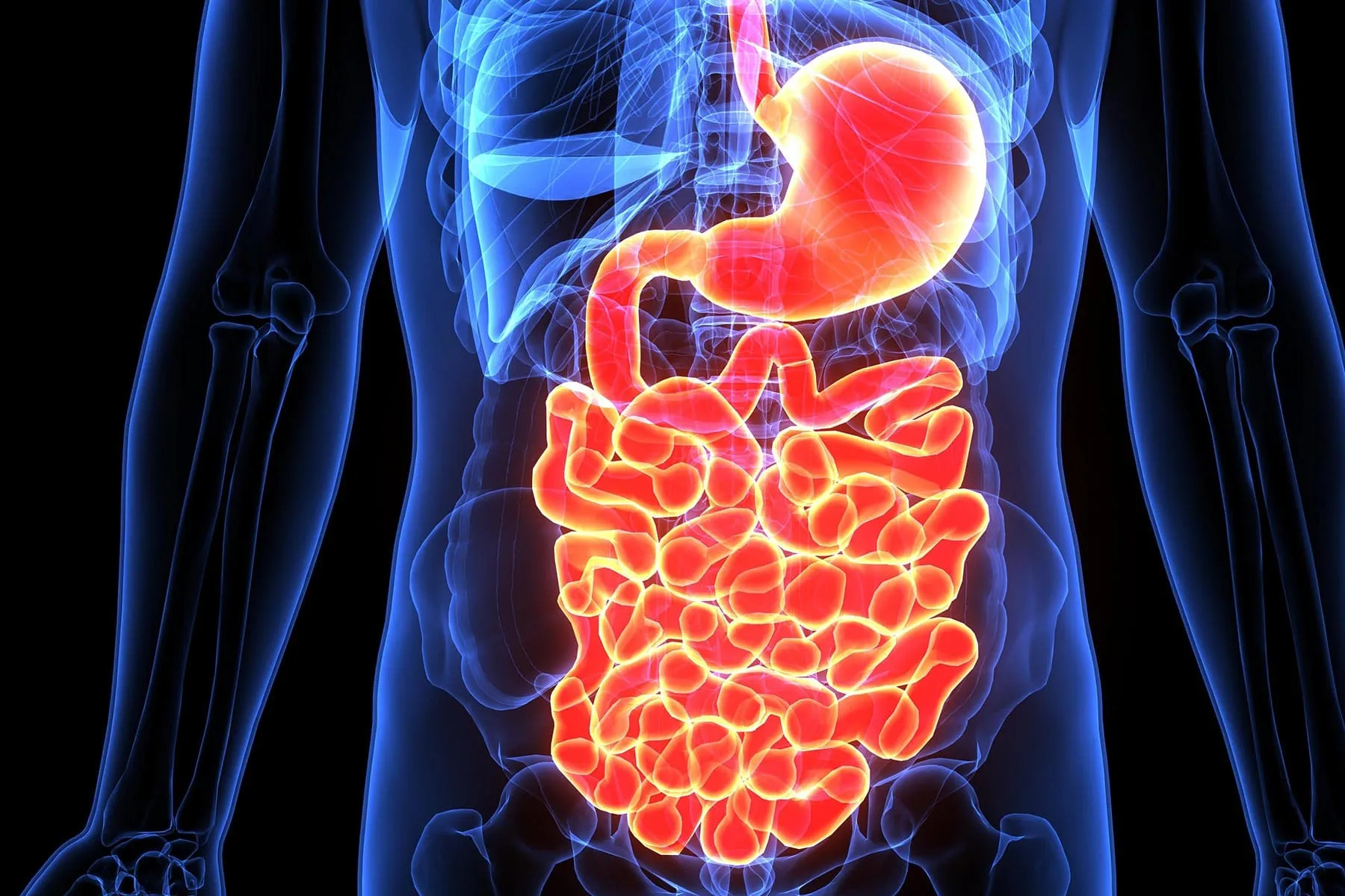 Why Is My Poop Stringy? 5 Causes of Narrow, Thin Stools