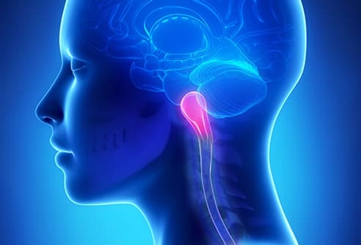 Medulla Oblongata