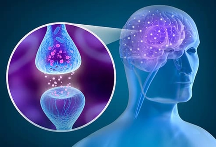 Neurons
