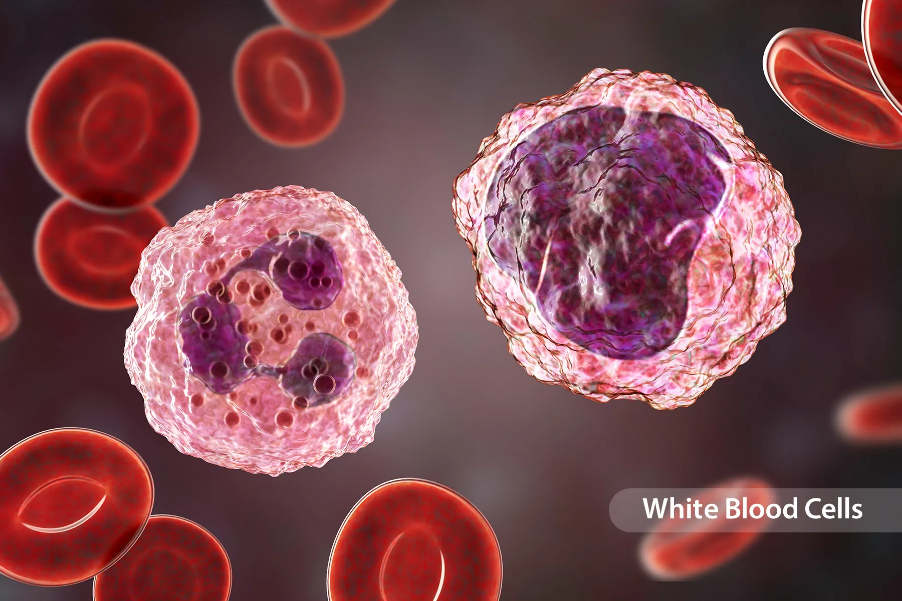leukemia background information