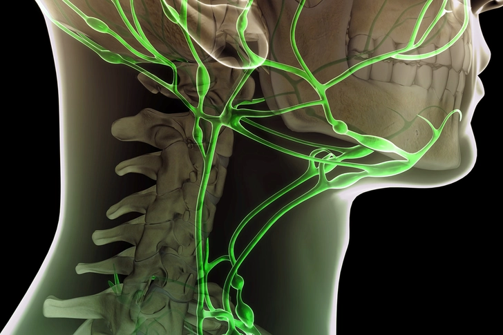 Symptoms of Mycobacterium Avium Complex (MAC)