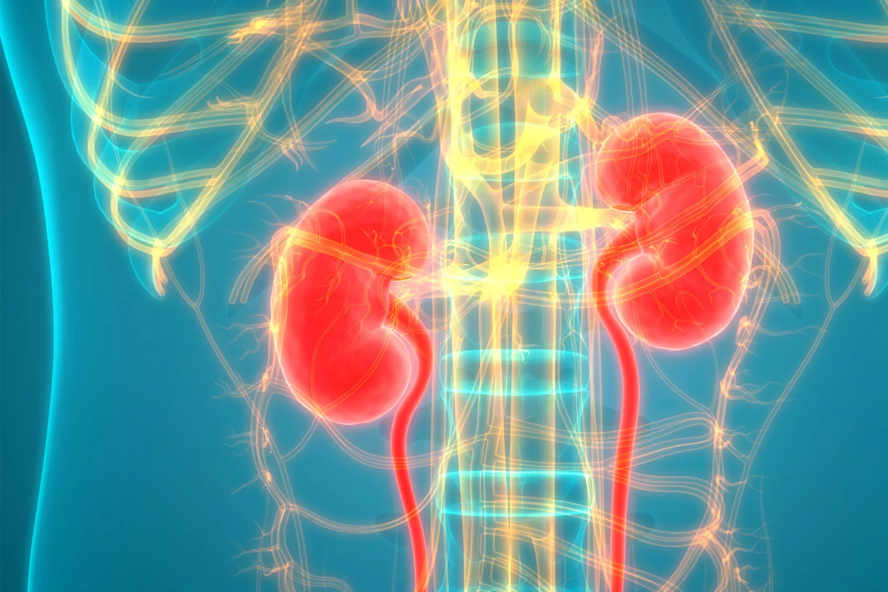 Bartter Syndrome: Symptoms, Cause, Treatment